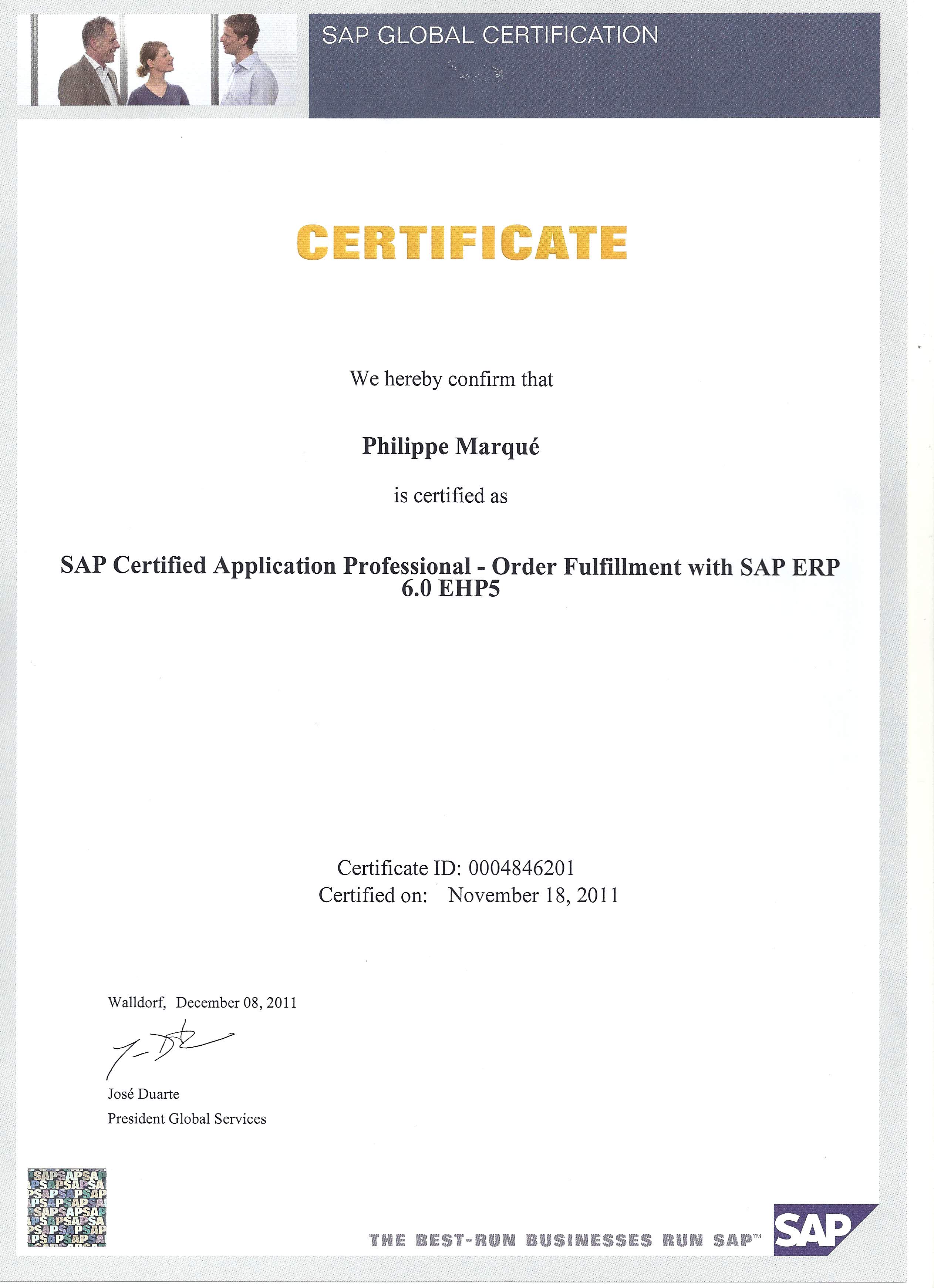 SAP WM, EWM, HUM Consultant - Certified SAP Professionnel WM/LE, MM and ...